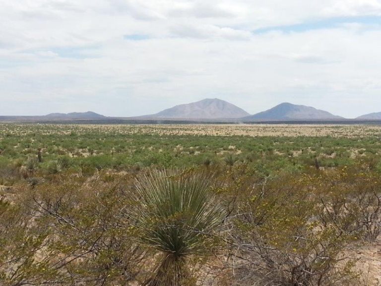 Land For Sale - Texas Ranch Deals