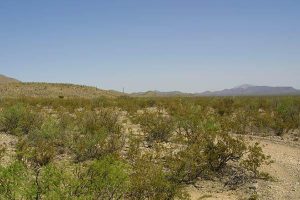 Land For Sale - Texas Ranch Deals