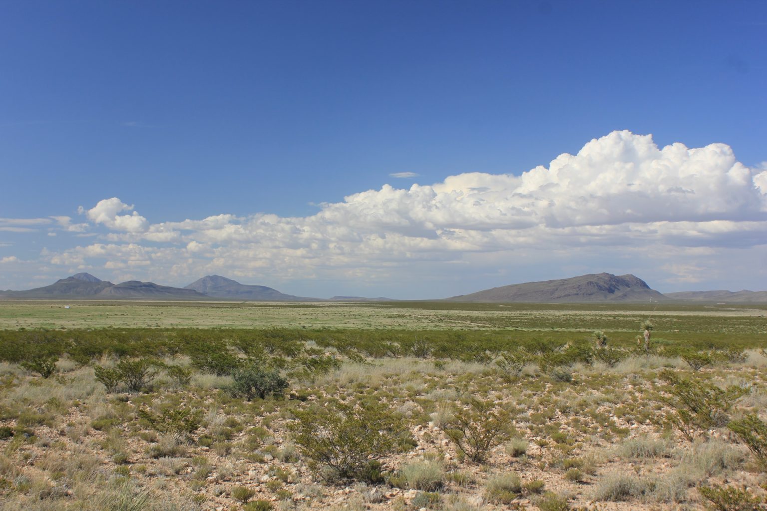 Land For Sale - Texas Ranch Deals