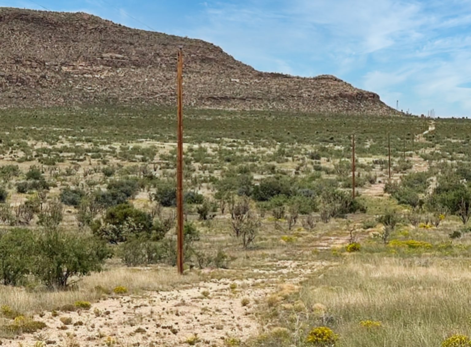 20 Acres, Unit 463, Tract 4 – Texas Ranch Deals